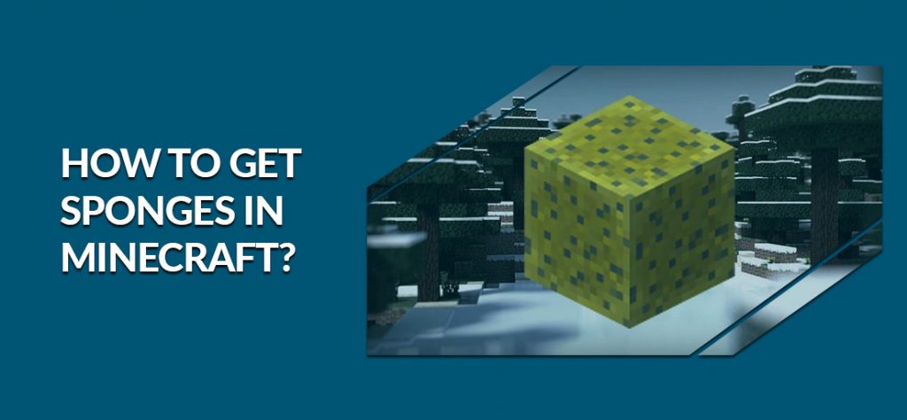 Read This to Know How to Get Sponges in Minecraft